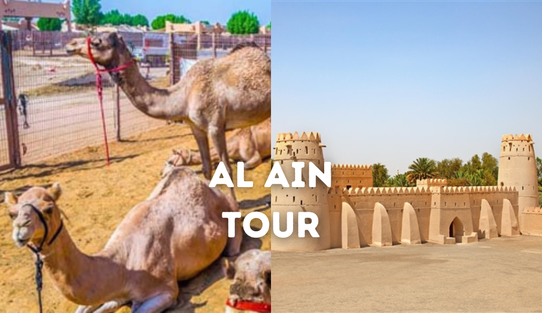 Al Ain Full Day Tour - Mvp Traveling Enjoy The World
